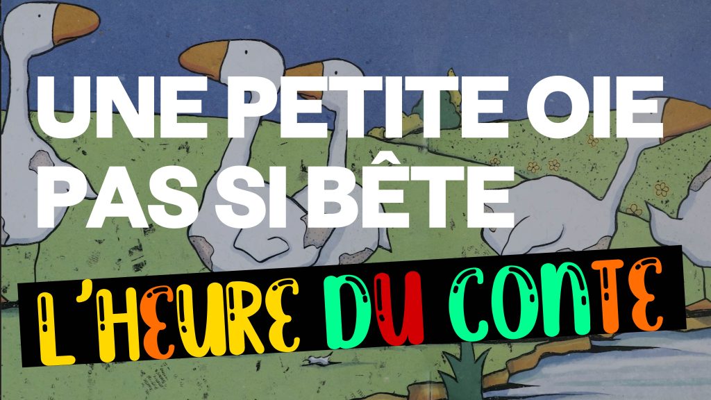 L'heure du conte : "Une petite oie pas si bête" de Caroline Jayne ...